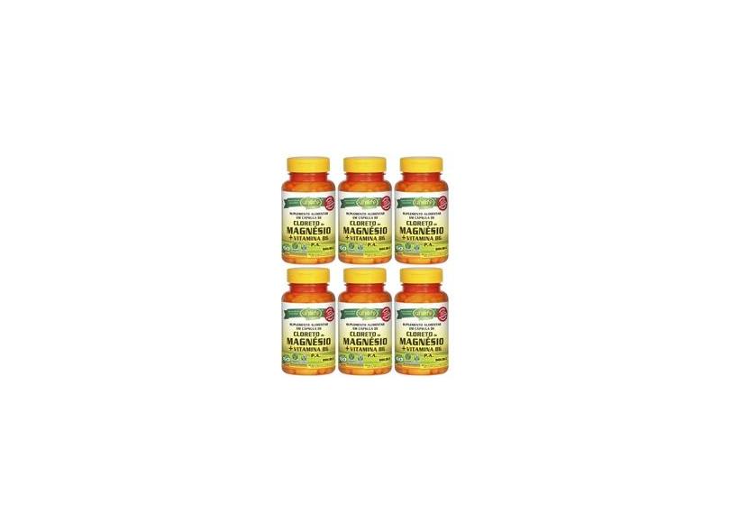 Cloreto De Magnésio P.A. + Vitamina B6 - 60 Cápsulas 800mg Unilife Kit 6 Unidades com o Melhor ...