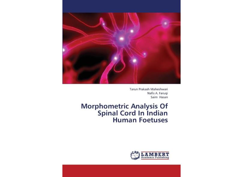 Morphometric Analysis Of Spinal Cord In Indian Human Foetus com o ...