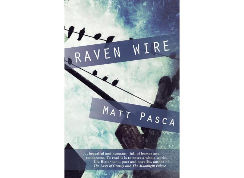 Raven Wire com o Melhor Preço é no Zoom