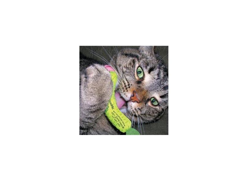 Brinquedo para Gato Appeteasers Verde e FatCat com o Melhor Preço é no Zoom
