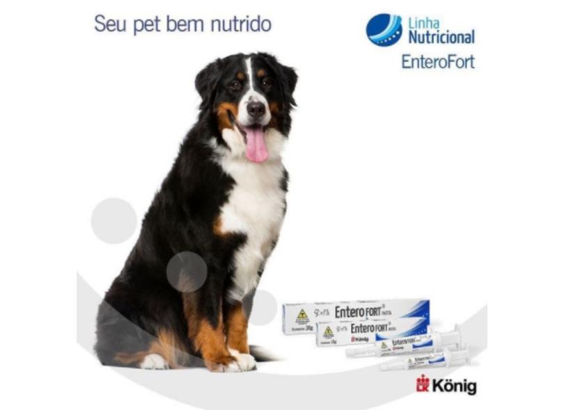 EnteroFort Pasta Konig 15gr Probiótico c/ Butirato de Sódio com o ...