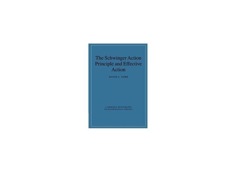 The Schwinger Action Principle and Effective Action com o Melhor Preço ...