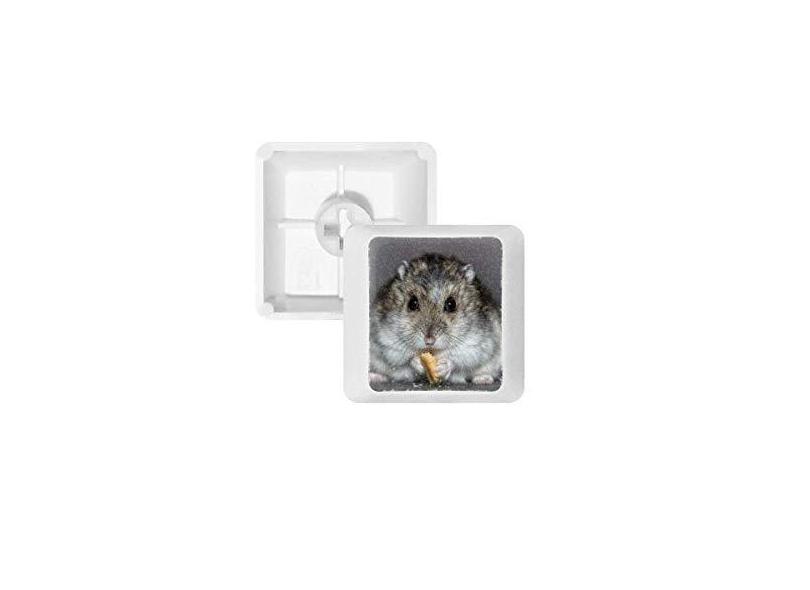Hamster Animal Rat Pet Cute Eat Keycap Teclado mecânico PBT Kit de ...