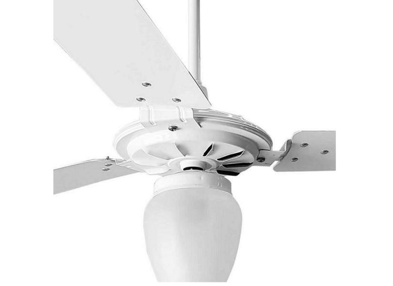Ventilador De Teto Rico Ventex - com o Melhor Preço é no Zoom