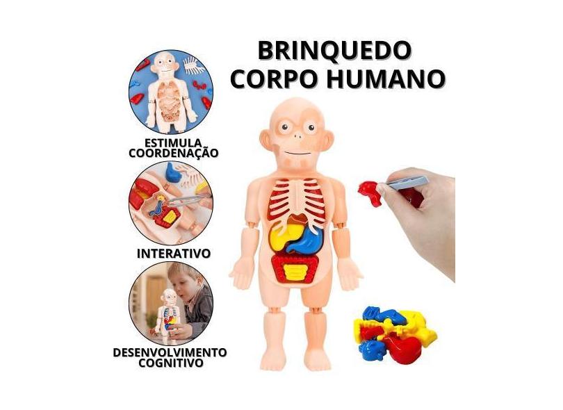 Quebra Cabeça Corpo Humano Boneco De Anatomia Humana Brinquedo Anatômi ...