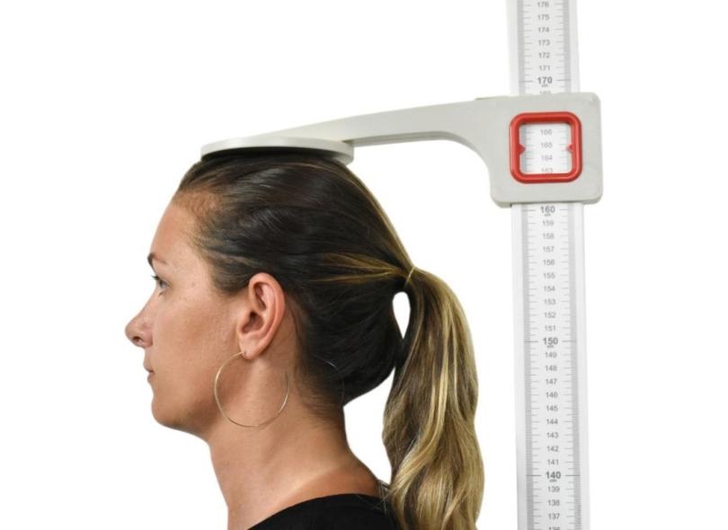 Estadiômetro Portátil Medidor De Altura Avanutri Com Nível com o Melhor ...