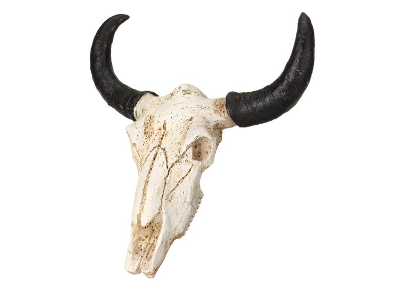 Chifre longo Crânio Resina Boi Escultura Estátua de Caveira Decoração ...
