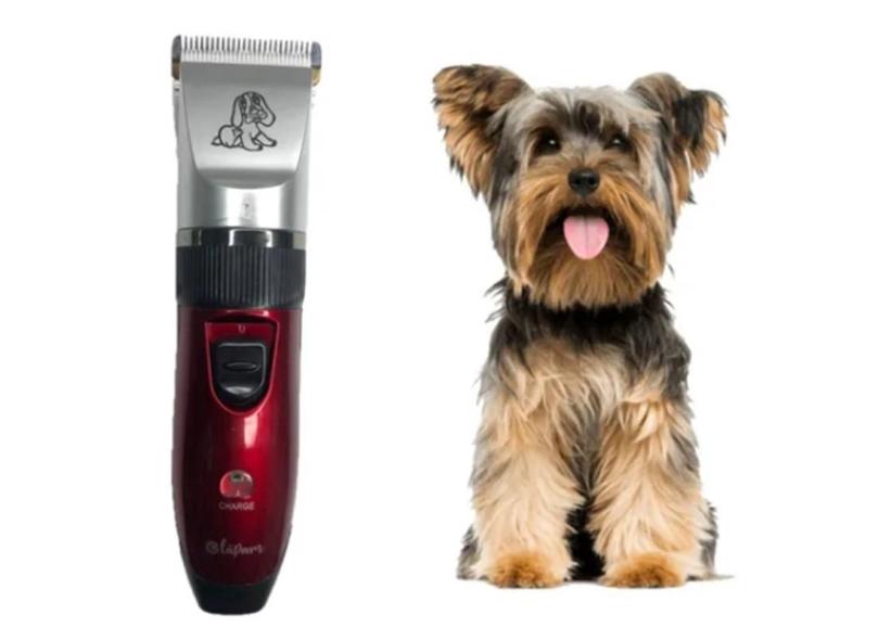 Máquina Tosa Cães E Gatos Bivolt Com Acessório Boa E Bonita em Promoção ...