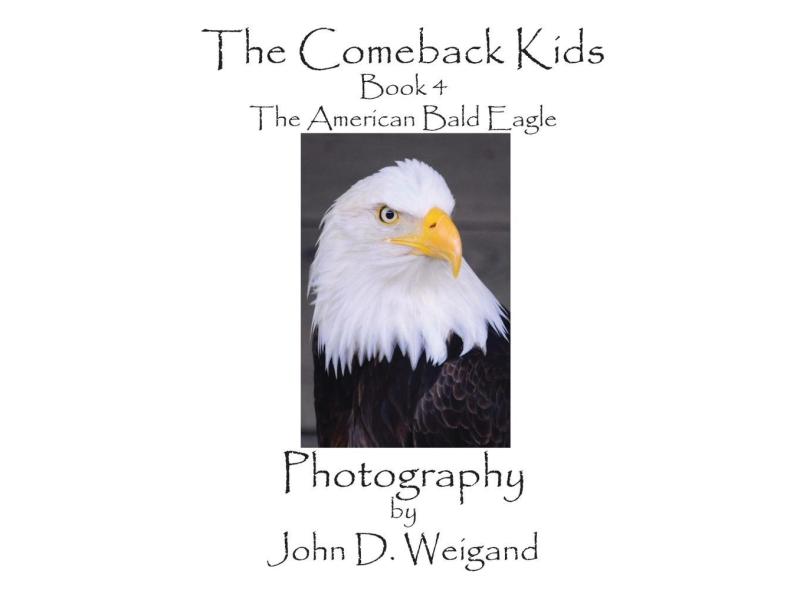 The Comeback Kids, Book 4, The American Bald Eagle com o Melhor Preço é ...