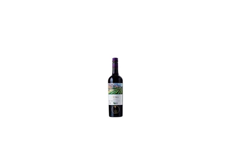 Vinho Tinto Cuma Cabernet Sauvignon 100% Orgânico 750mL com o Melhor ...