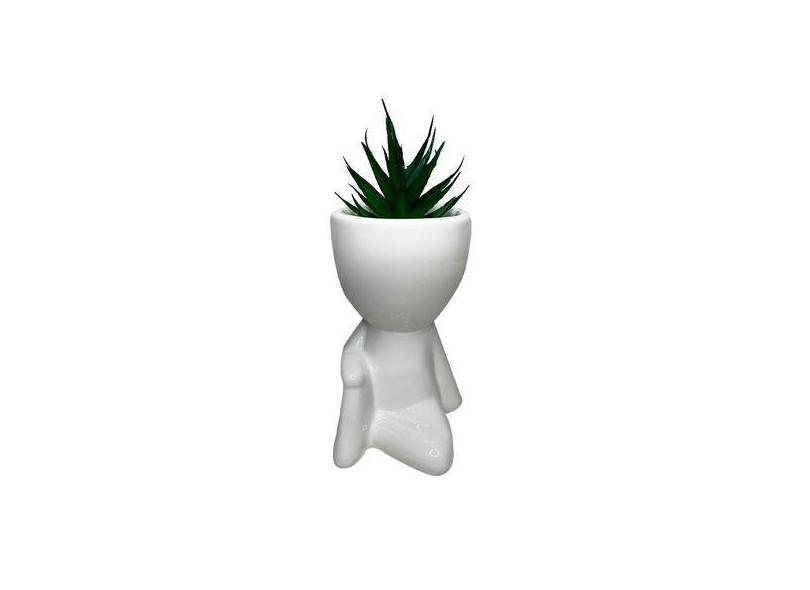 Vasinho E Suculenta Robert Bbb Bob Planta Decoração - Fx com o Melhor ...