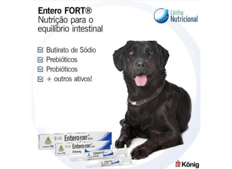 EnteroFort Pasta Konig 15gr Probiótico c/ Butirato de Sódio com o ...
